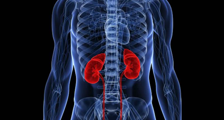 Study 25+% of fighters practice extreme weight-cutting